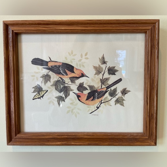 F. Massa | Art | Vintage F Massa Framed Bird Print | Poshmark
